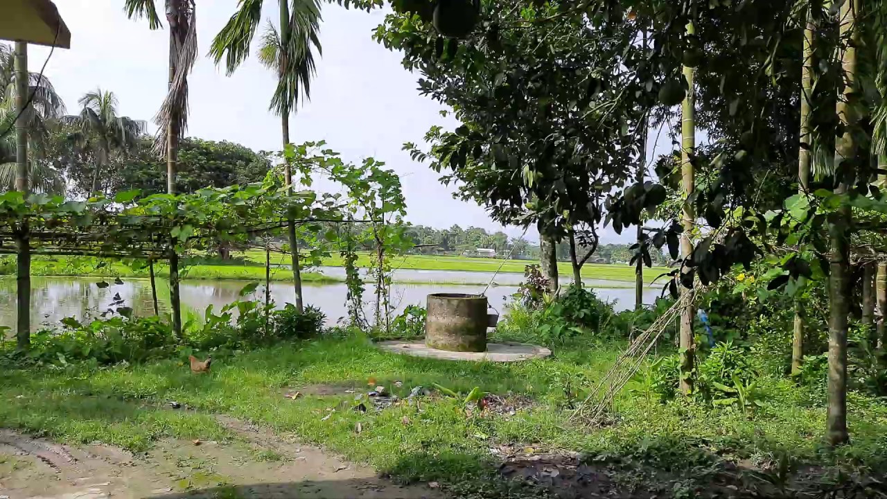 Samsung Galaxy M30S  4K video sample