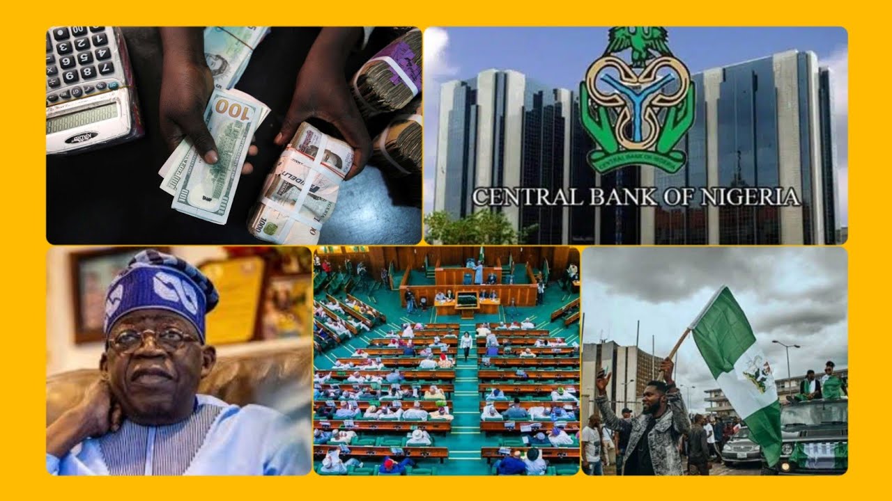 CBN GOV EXPOSES TO NIGERIA WHAT REALLY GOING ON WHAT THE NAIRA HOW ...