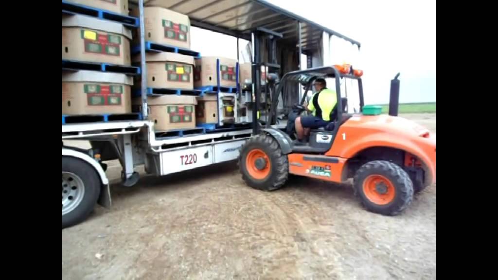 Ausa Rough Terrain Forklift with Twin Pallet Handler lifting melons ...