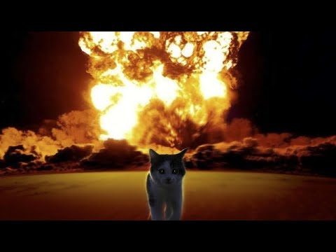 penar explosion cat stories || Part 3 - YouTube