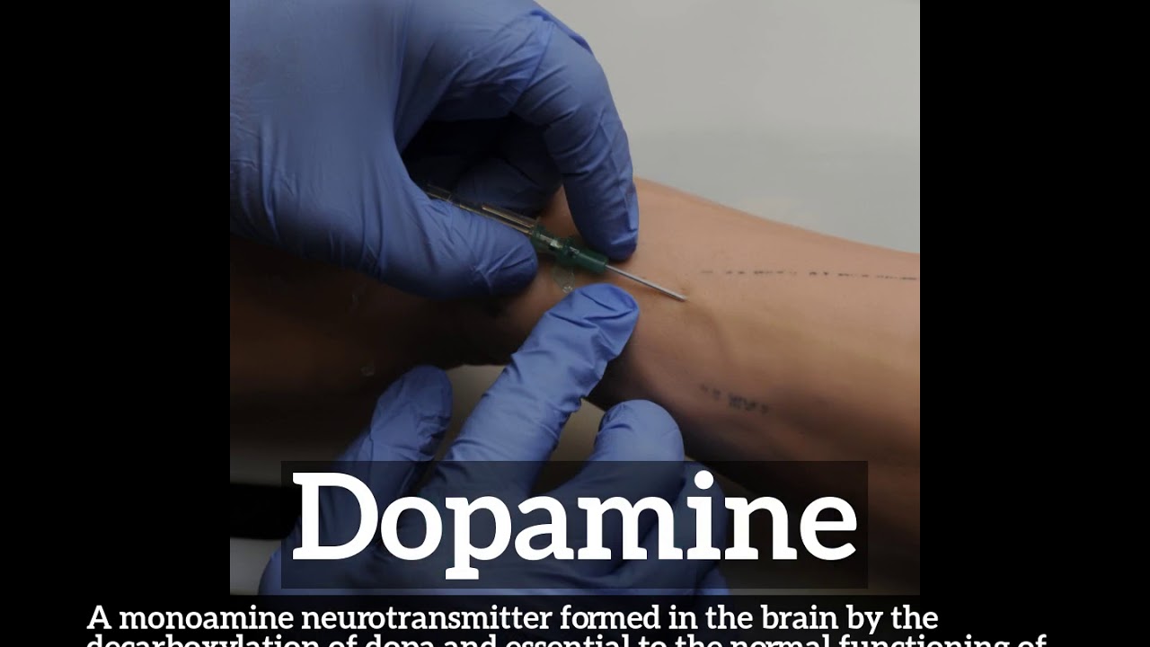 How to Say Dopamine in English? | How Does Dopamine Look? | What is ...