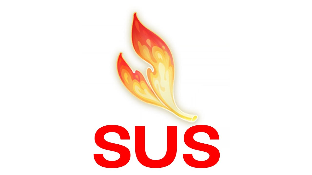 SUS FLOWER - YouTube