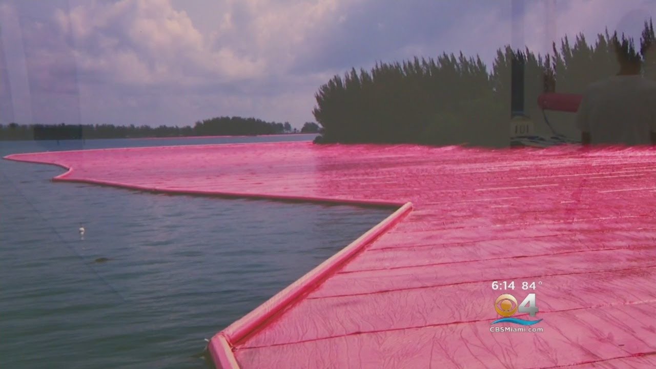 Artist Christo Made Miami 'Pretty In Pink' In 1983 - YouTube