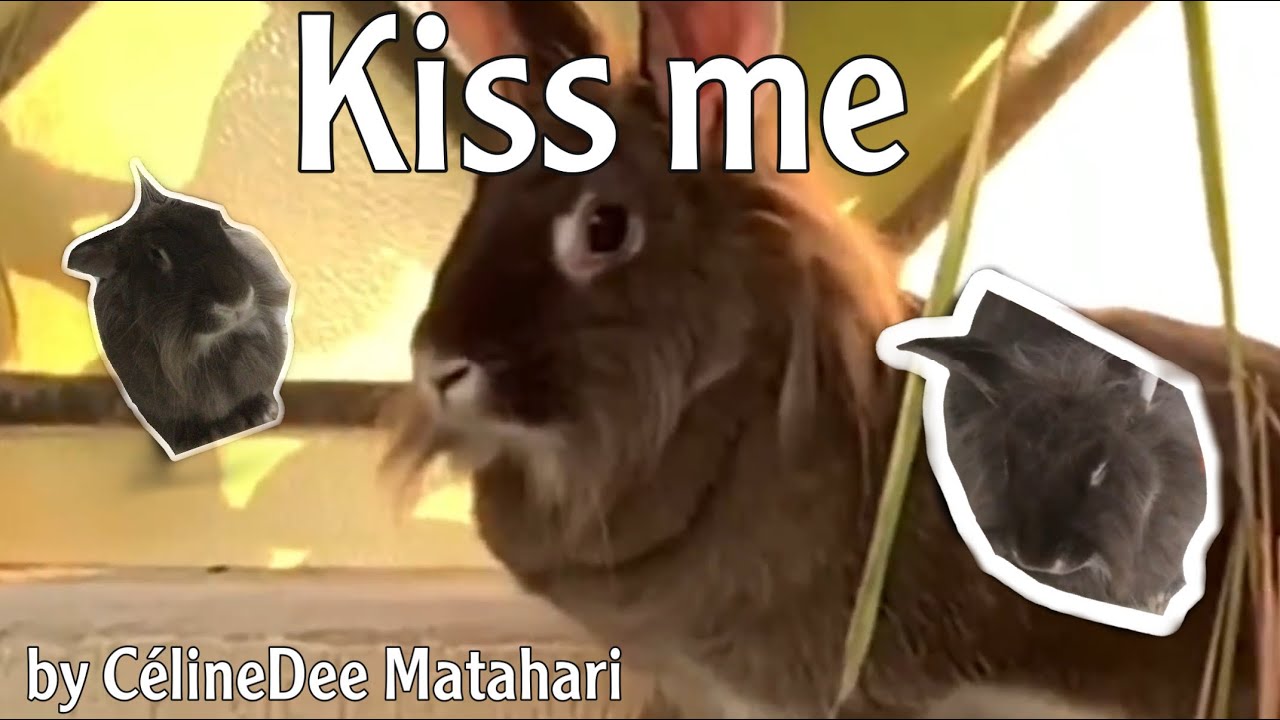 Kiss me - Music Video ( CélineDee Matahari) - YouTube Music