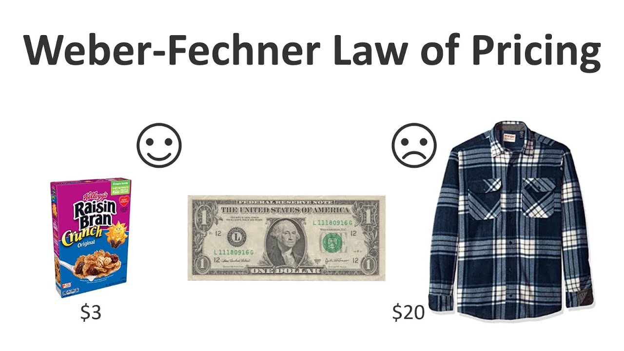 The Weber-Fechner Law of Pricing (E-Commerce Psychology) - YouTube