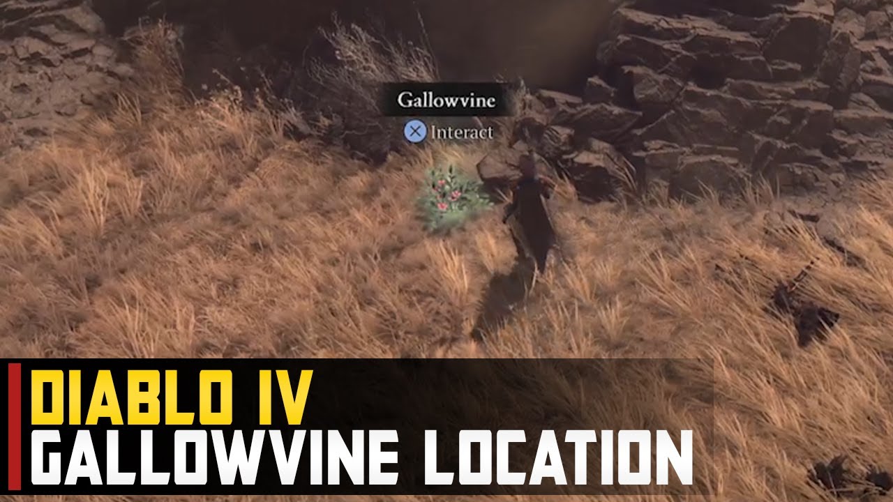 Gallowvine Location | Diablo 4 - YouTube