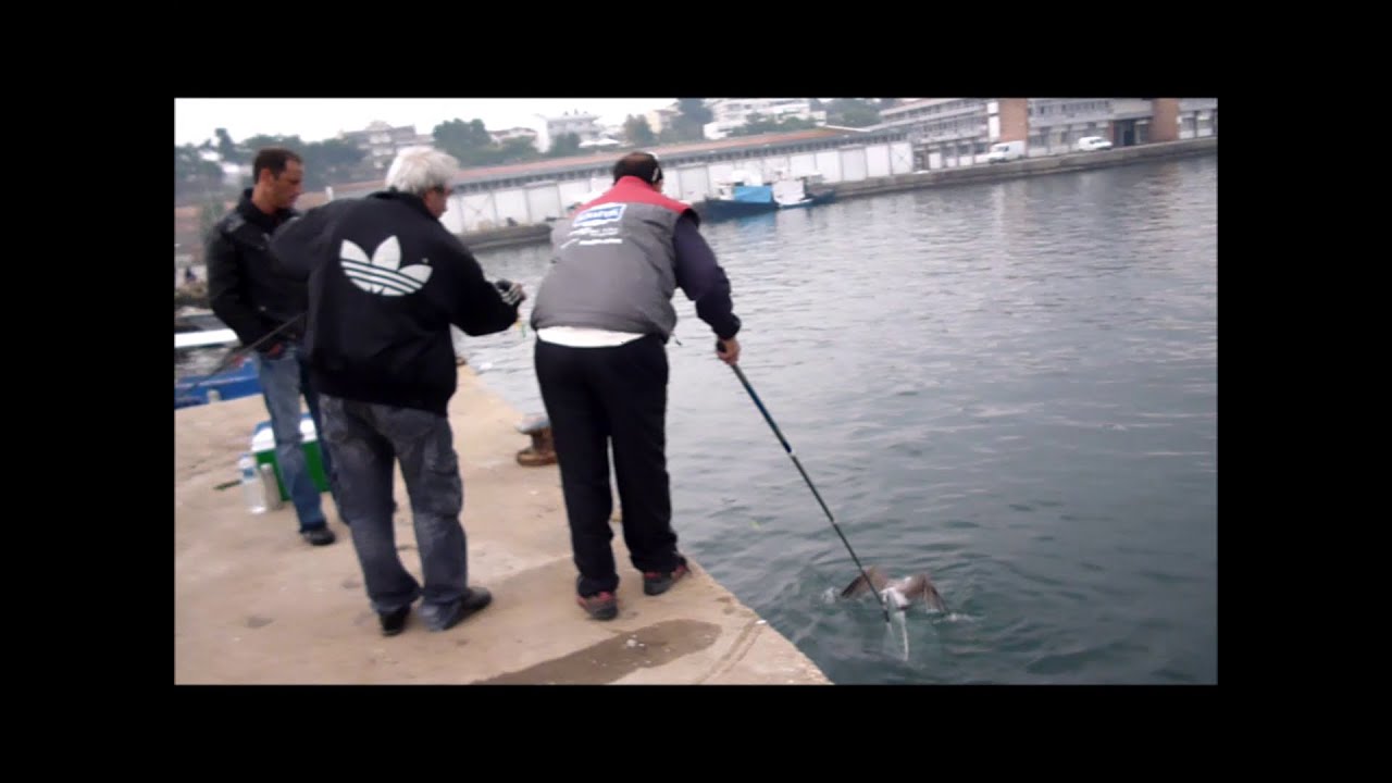 Sea Fishing From The Beach (ΨΑΡΕΜΑ ΑΠΟ ΤΗΝ ΑΚΤΗ) - YouTube