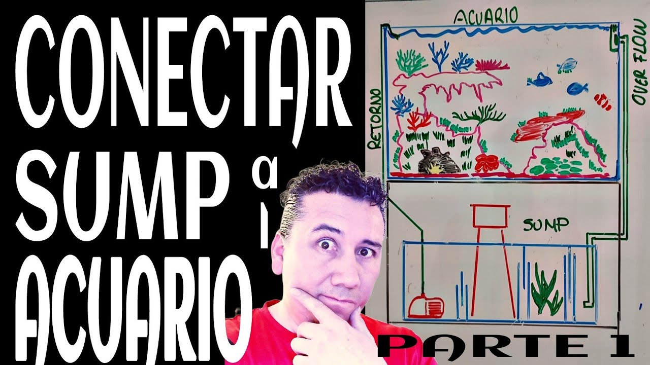 COMO CONECTAR EL SUMP AL ACUARIO DE FORMA FÁCIL / parte 1 - YouTube