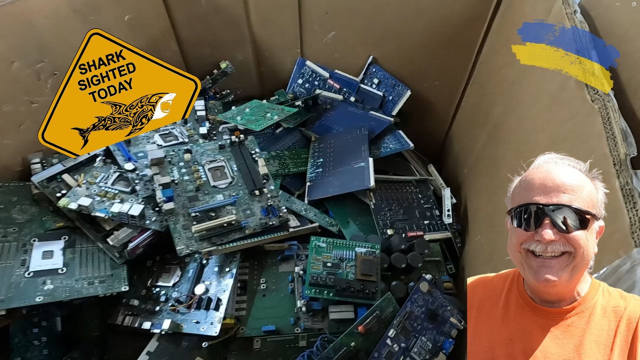 Shark Scrapper's First Video in North Carolina - A Big Box of Boards ...