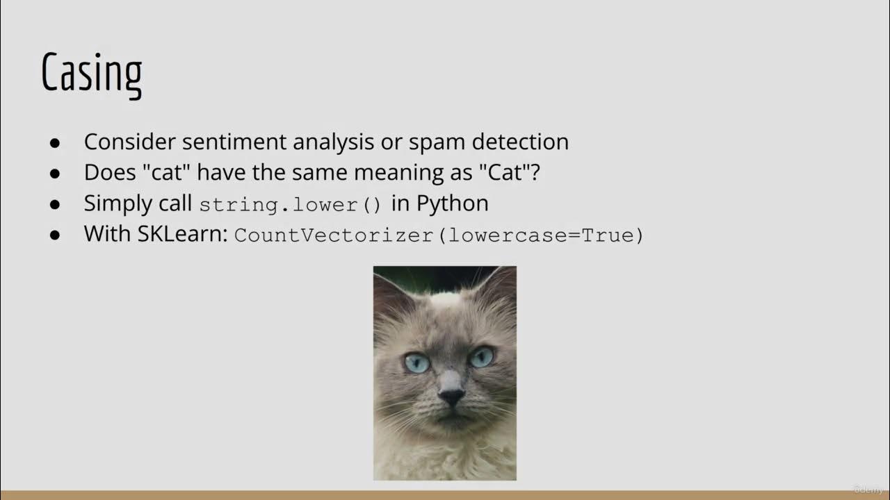 Machine Learning Natural Language Processing in Python, S02 P06, Tokenization - YouTube