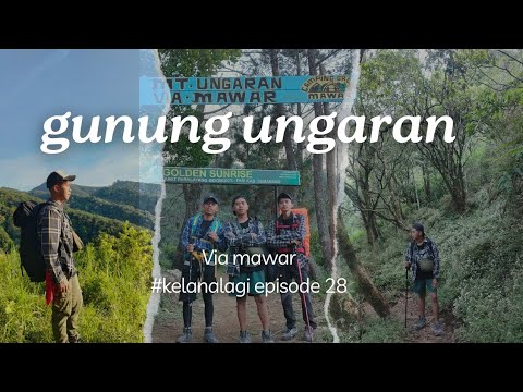 GUNUNG UNGARAN VIA MAWAR | TRACK HUTAN YANG PANJANG MELELAHKAN PART 1 ...