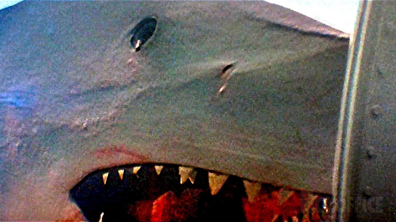 Shark takes revenge on aquatic park | Jaws 3-D | CLIP - YouTube