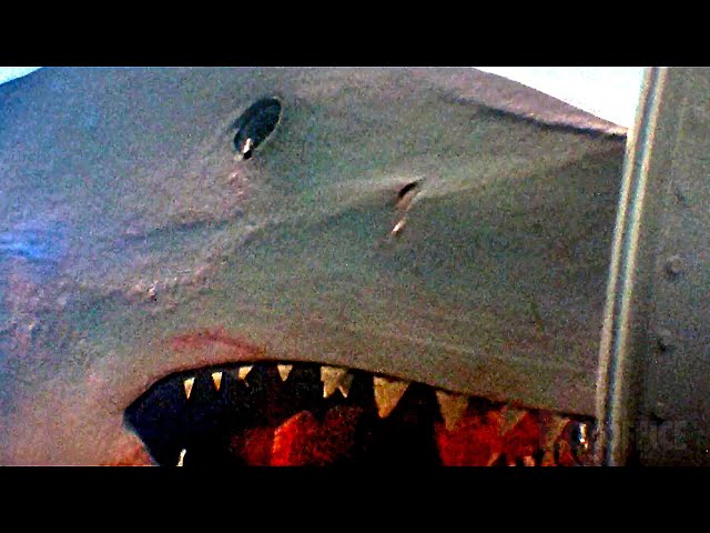 Go Behind The Scenes Of Jaws 3 And Go A Little Crazy In MAKING OF JAWS