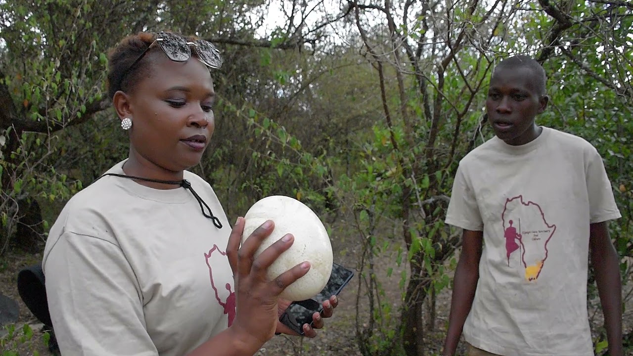 kipsigis Oasis sanctuary breif history - YouTube