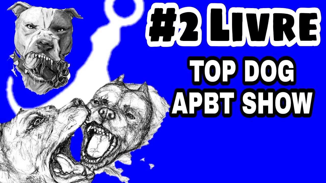 Salto Livre #2 Campeonato de Pit Bull Top Dog APBT Show Canal ...