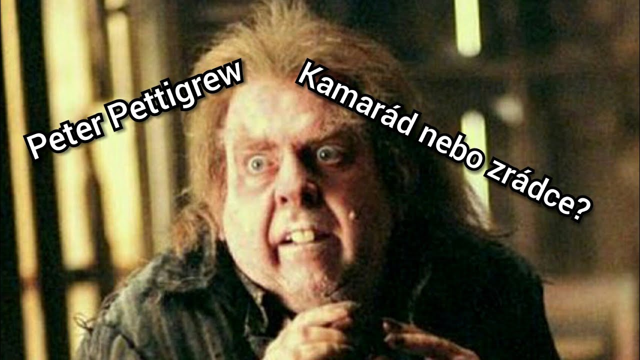 PETER PETTIGREW - YouTube