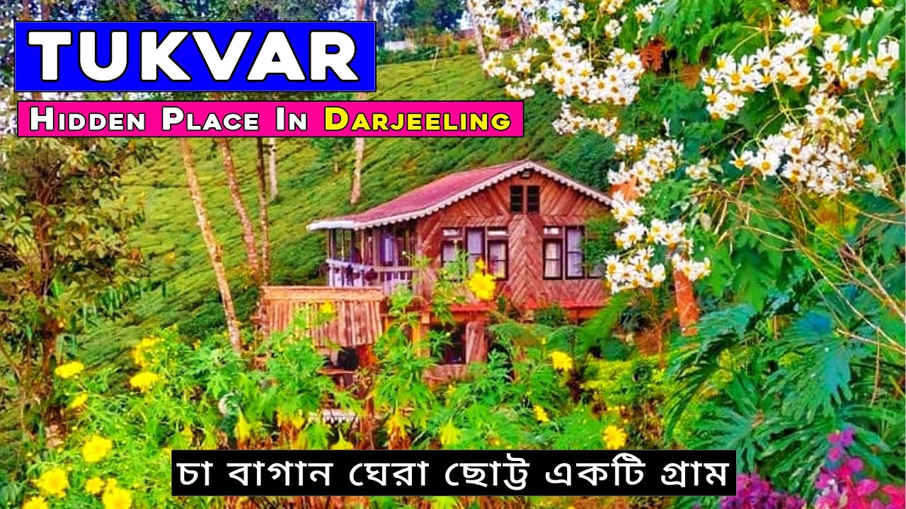 Tukvar | Offbeat Destination Near Darjeeling | A Homestay Surrounded by ...