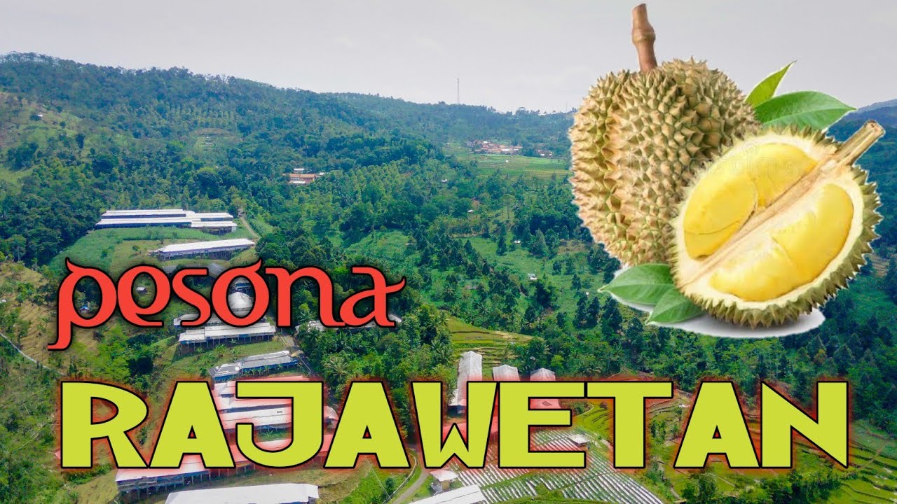 RAJAWETAN TONJONG BREBES - YouTube