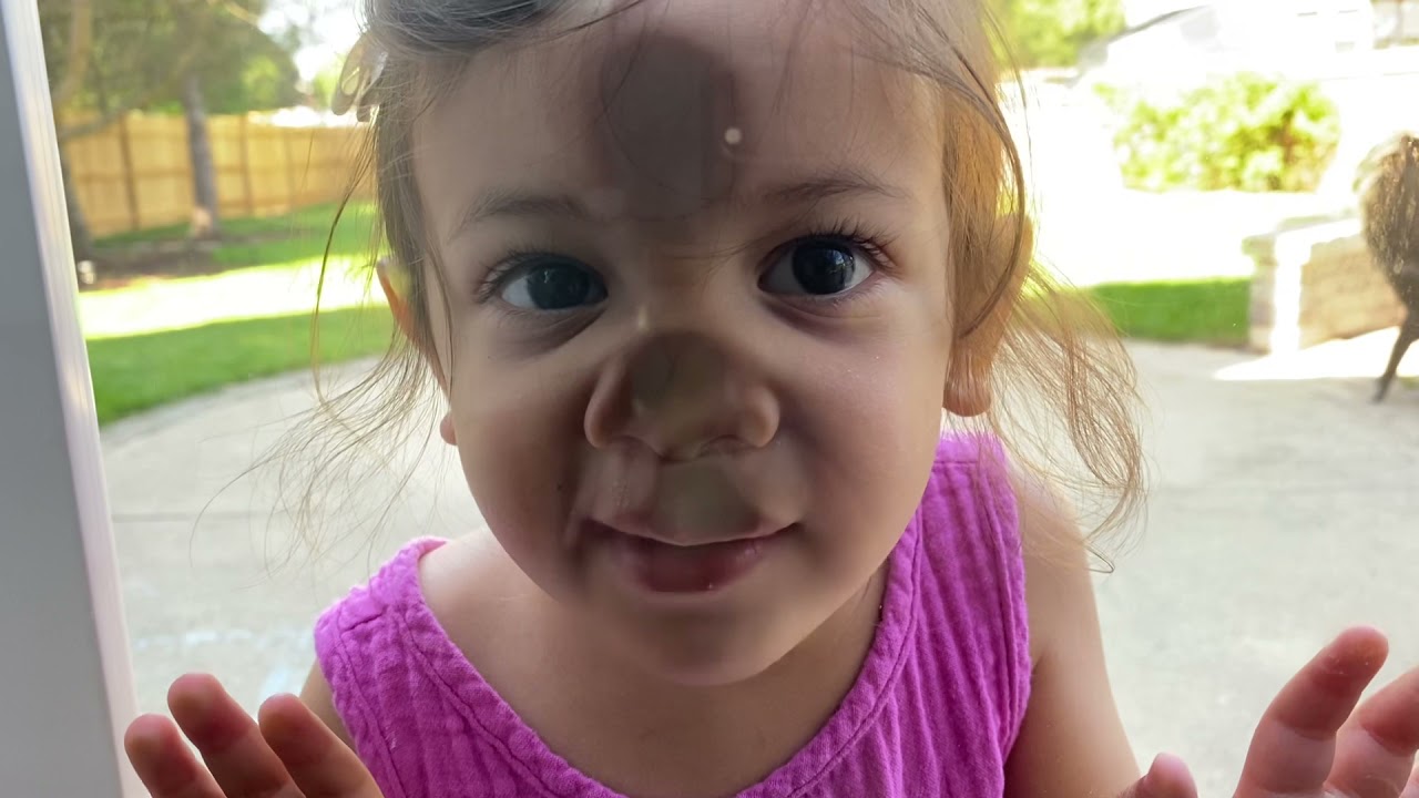 Sienna 2yr old smushing face against glass 😂😂😂 - YouTube
