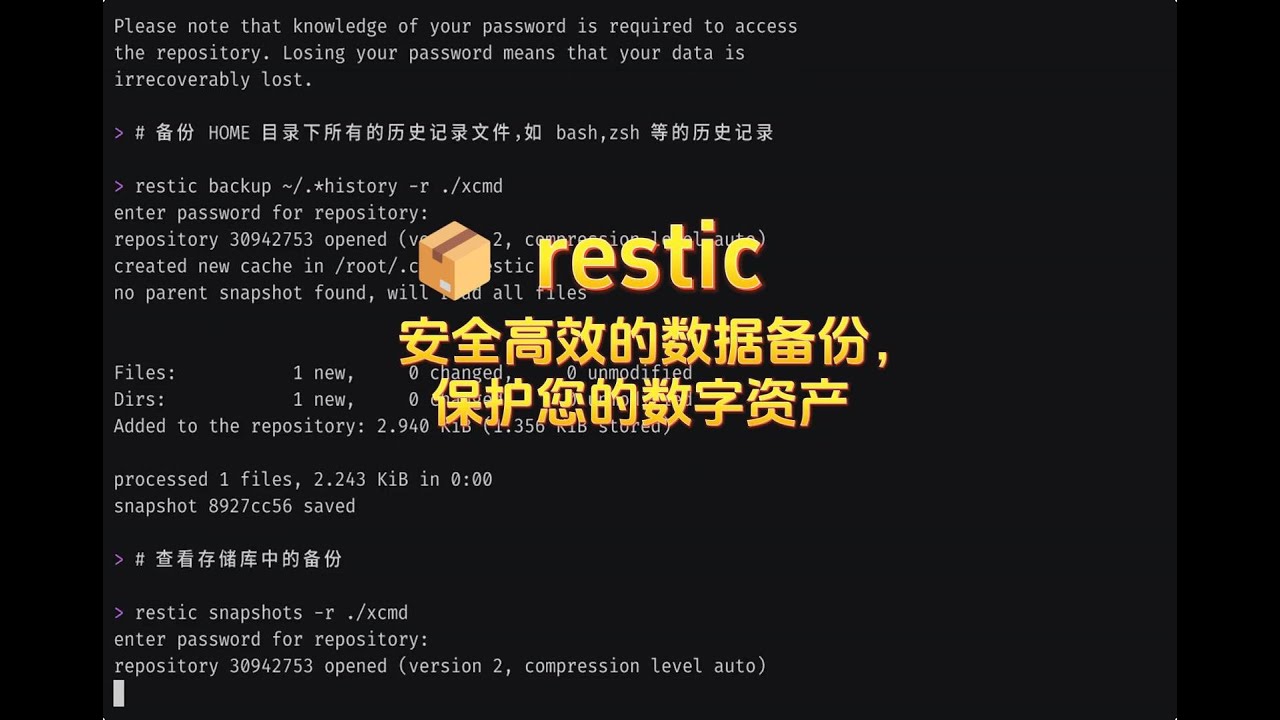 x-cmd | pkg 📦 (zh) restic: 安全高效的数据备份，保护您的数字资产 - YouTube