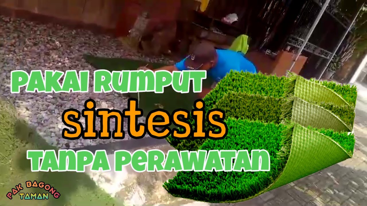 Proses penanaman rumput sintesis,, rumput tanpa perawatan # ...