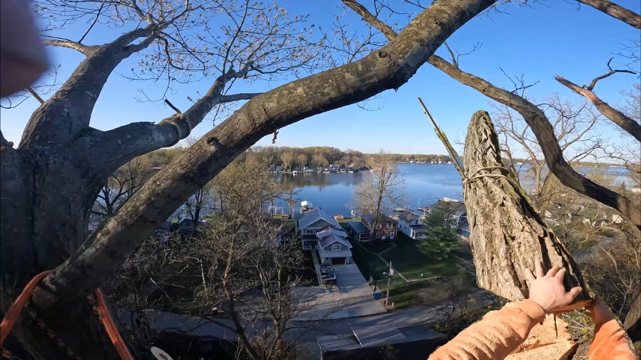 Goodbye thorny black locust/red oak, letting the logs fly - YouTube