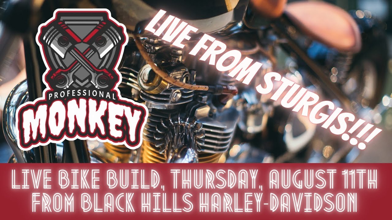 Live Sturgis Bike Build! Color swapping a custom Harley Davidson Road ...