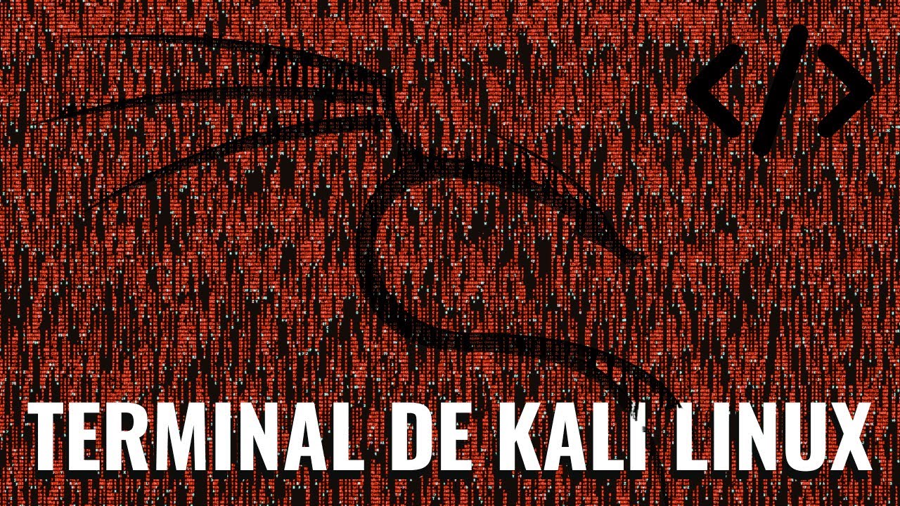 Introducción a la TERMINAL de KALI LINUX | Clase 1 - YouTube