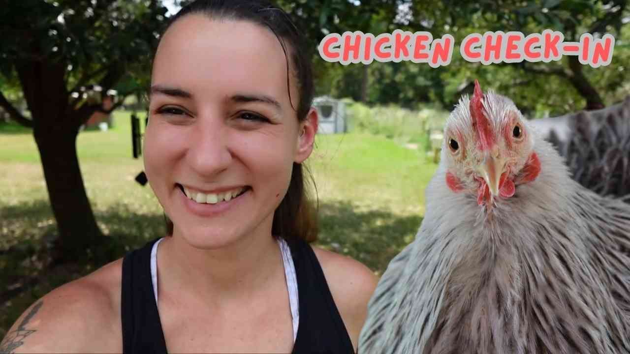 Chicken Check-In | It's too hot to eat... - YouTube