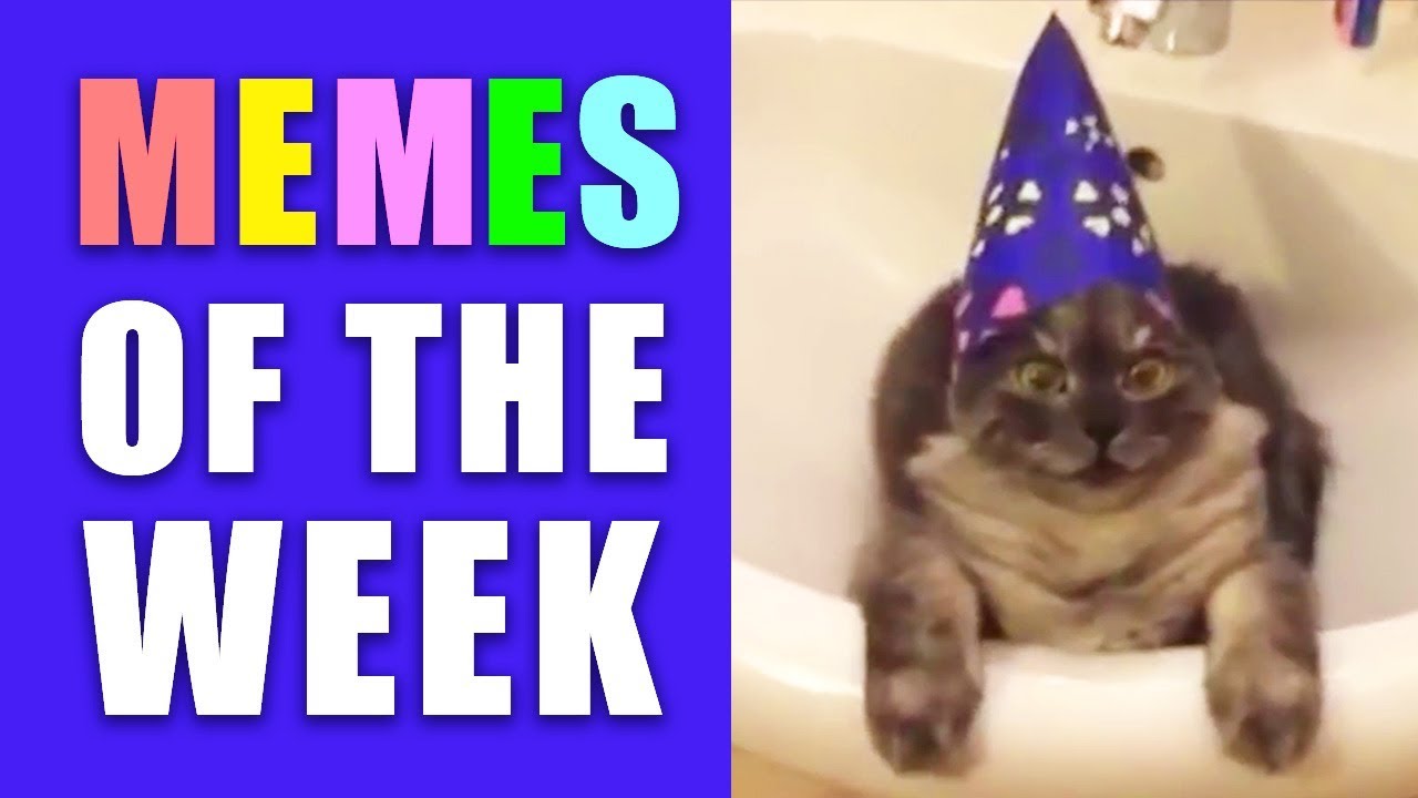 Best Memes of the Week - Compilation 2 - YouTube