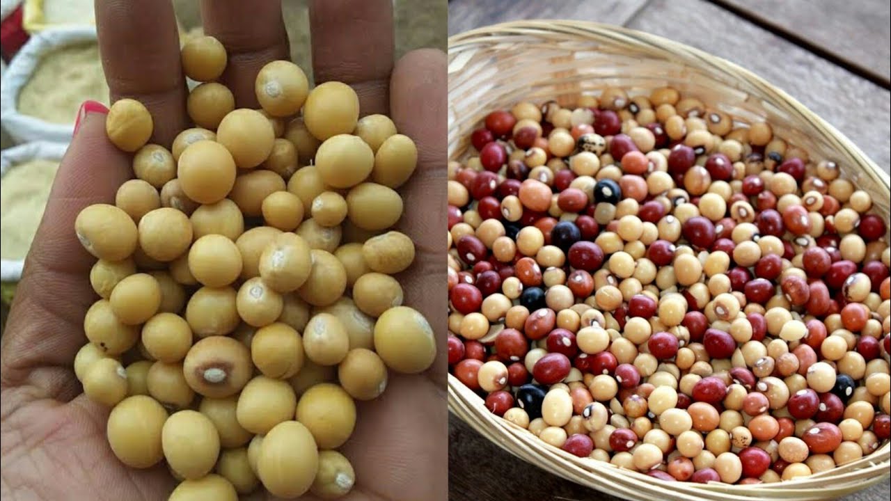 usiache kula njugu mawe. - YouTube