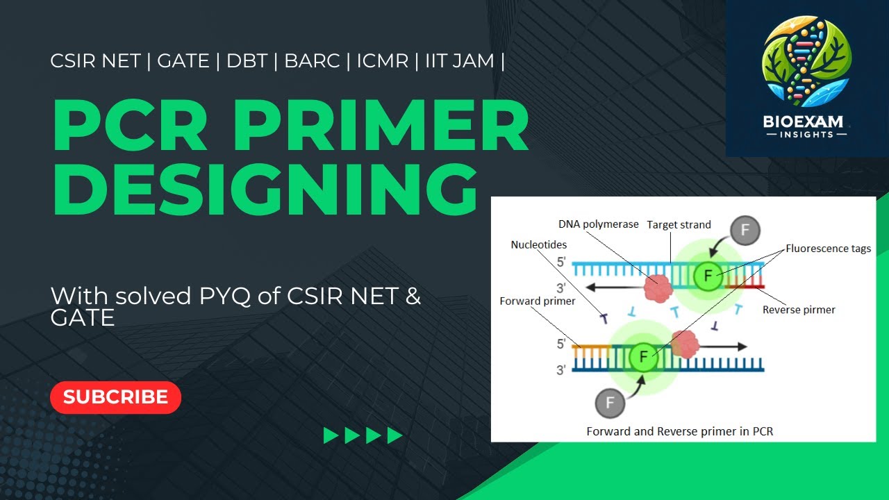 Primer Designing For PCR | Methods in Biology | CSIR NET | GATE | DBT ...