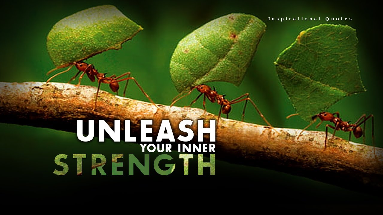 Rise and Shine: Inspiring Quotes to Fuel Your Inner Fire - YouTube