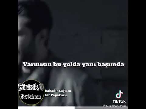 Bahadır Sağlam - Kır Papatyası♡