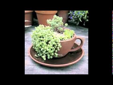 Large Tea Cup Planter - YouTube