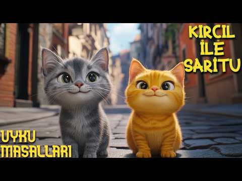 Uyku Masalları - Kırçıl ile Saritu
