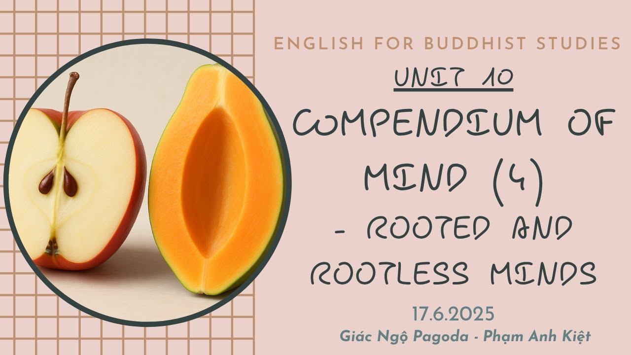 UNIT 10. CLASSIFICATION OF MINDS IN CONCORDANCE WITH ROOTED AND ...