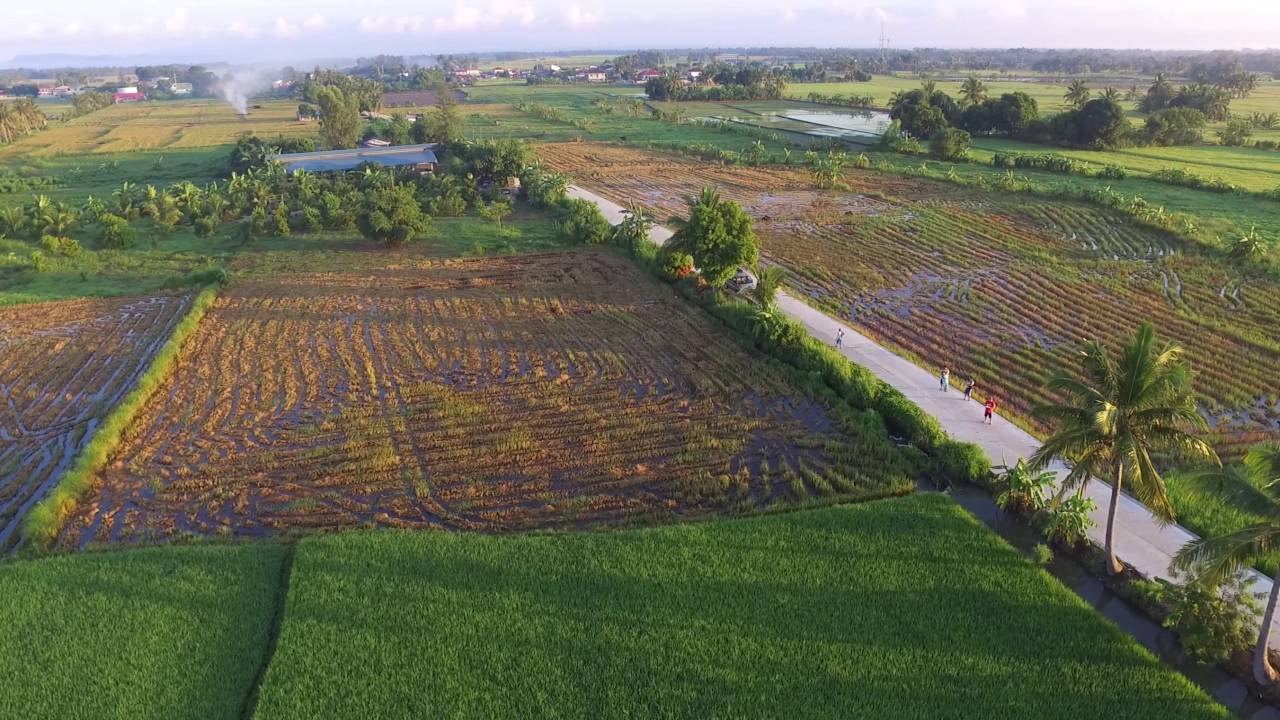 Cavite rice-fields drone shot - YouTube