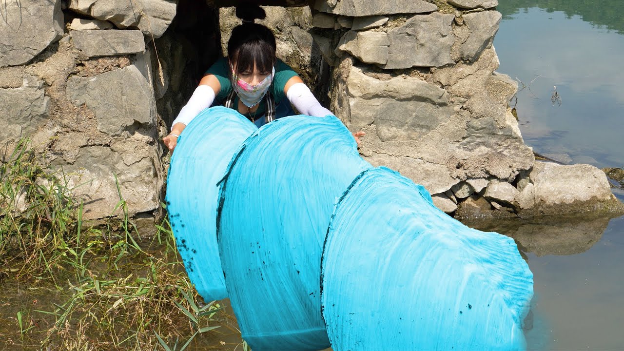 River's Gift to a Mother: Uncovering a Giant, Deformed Mussel Filled ...