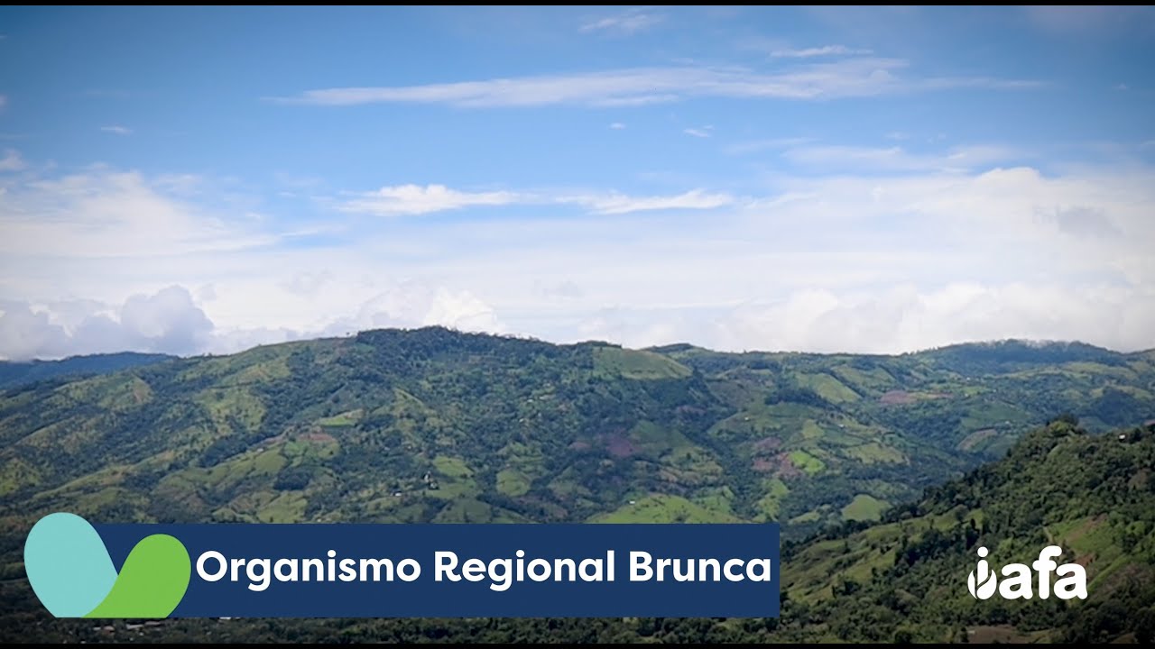 Conozca el quehacer y las personas que trabajan en la Región Brunca ...