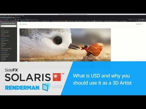 Houdini/Solaris, USD & RenderMan for Beginners #2 | Intro to USD - YouTube