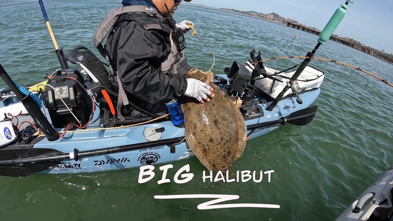 Trolling Herring | San Pablo Bay HALIBUT Fishing - YouTube