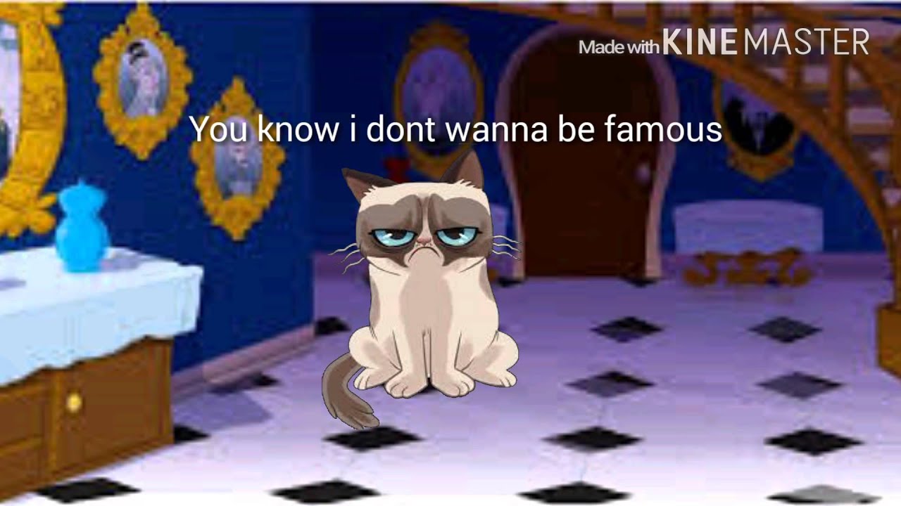 Grumpy cat says no! - YouTube