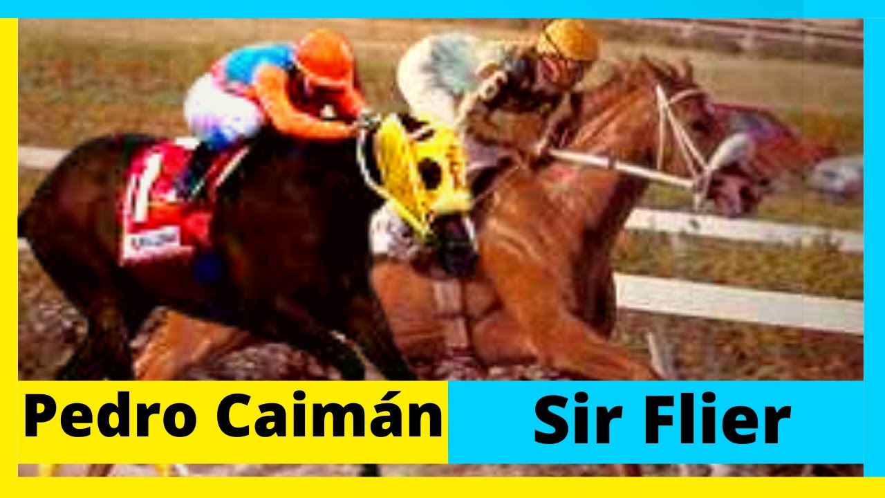PEDRO CAIMAN vs SIR FLIER🐴 Clásico SPRINTER 🏆 La Rinconada 🏆 - YouTube