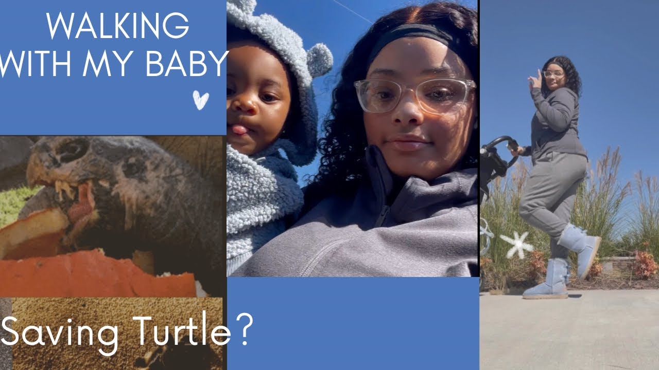 Taking my baby for a walk | saving scary turtle - YouTube