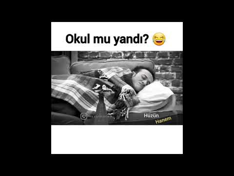 ÇOK GÜZEL HAREKETLER BUNLAR2 KOMİK VİDEOLAR #çokgüzelhareketler2 #çokgüzelhareketlerbunlar