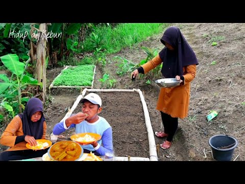 Tanam bayam dan masak enak!! GULAI KENTANG TELUR super nikmat,masakan desa