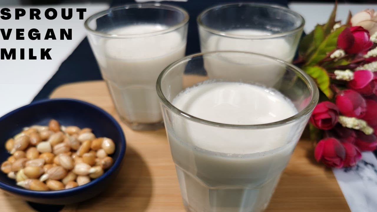 Sprout Vegan Milk | High Protein Milk | Mixed Sprouts Milk | Mother ...