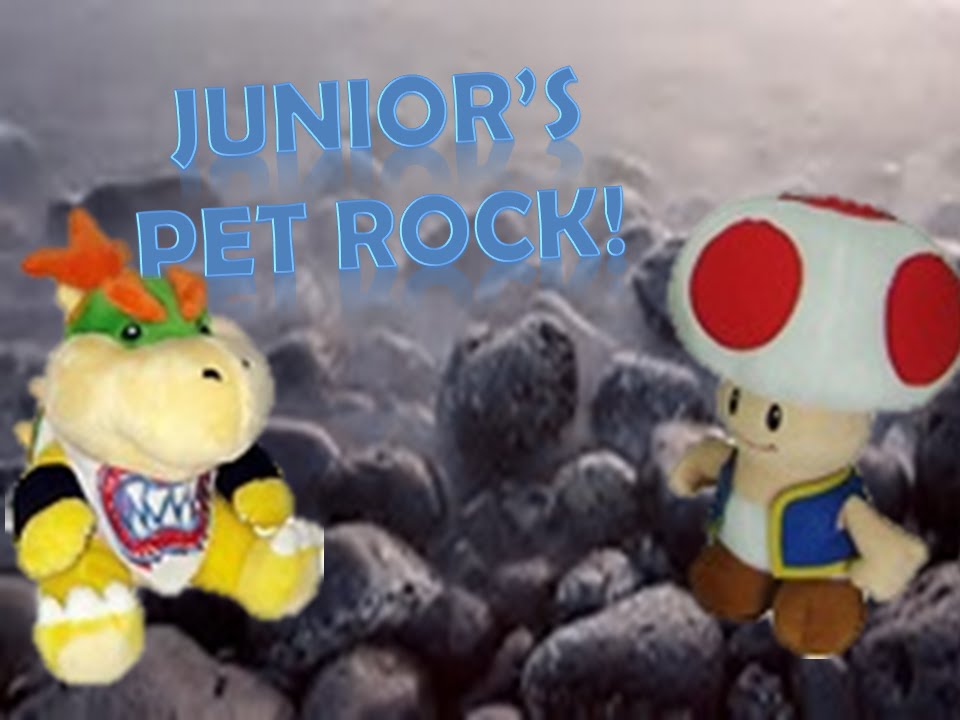NN1121 Movie Bowser Junior's Pet Rock! - YouTube
