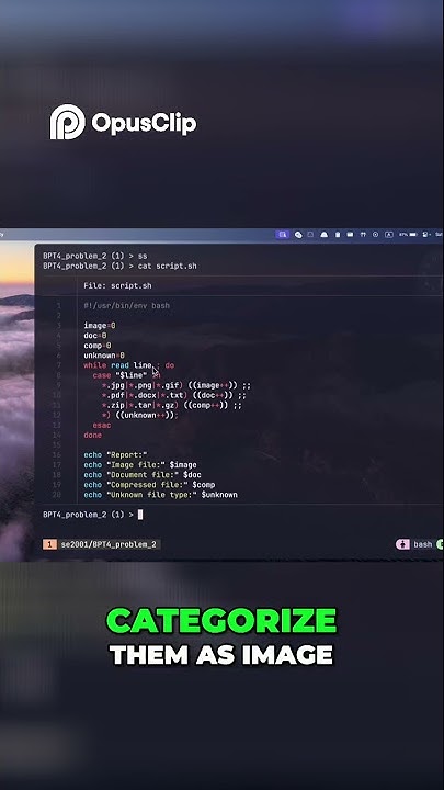 Organize Files 📁 into Categories in Bash using switch case 🎛️ | BPT 4.2 - YouTube
